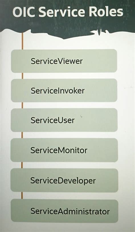 Soalicious Oic Gen3 Understanding Of Oic Service Roles