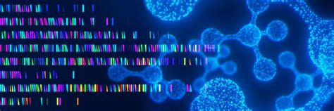 The Coding Landscape In Healthcare Is Highly Complex Due To The Use Of Multiple Standardized