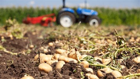 Investment Opportunities In Cold Chain Solutions Transforming Agro Processing Sector Inspira