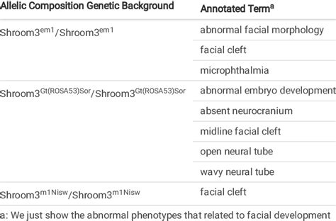 Phenotype Of Shroom3 Gene Editing Mouse Strains Download Scientific
