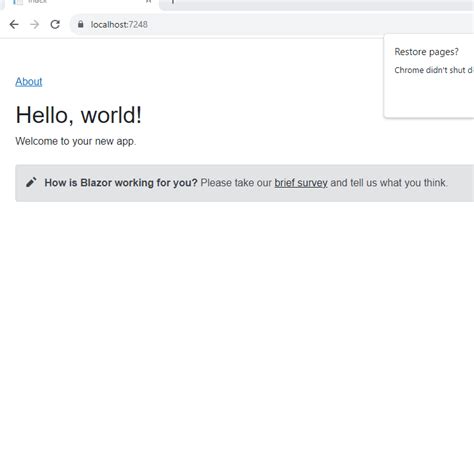 C Changing Assembly Name Break Blazor WebAssembly Web App Stack