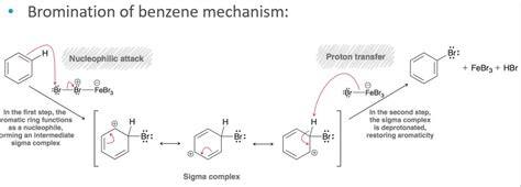 Solved Bromination of benzene mechanism: Br H Proton | Chegg.com