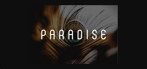 Dabora Font Font Canyon