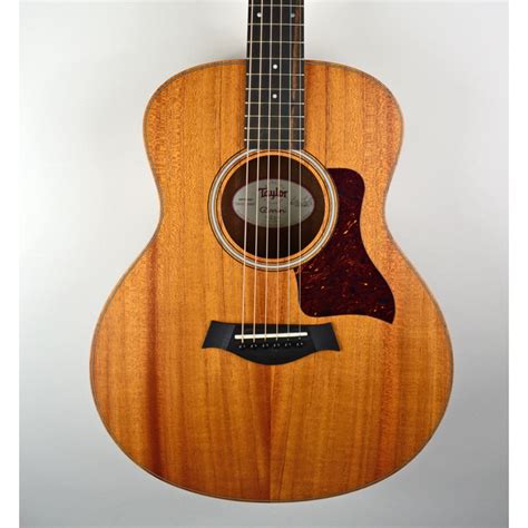 Taylor Gs Mini Mahogany Reisgitaar Dijkman Muziek