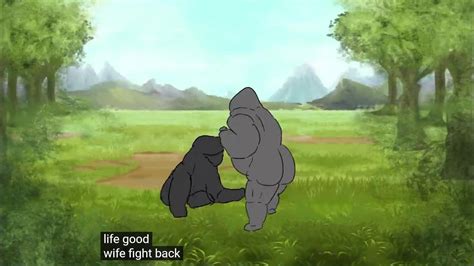 이번주 수요일 메쎄 파충류 행사 진행 [대난투 슈퍼 스매시 브라더스] Youtube