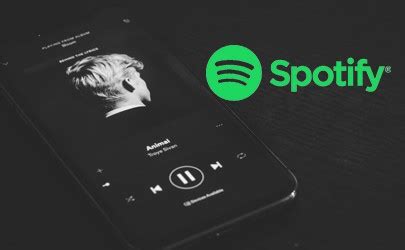 The 3 Best Ways To Use Spotify On Your Raspberry Pi RaspberryTips