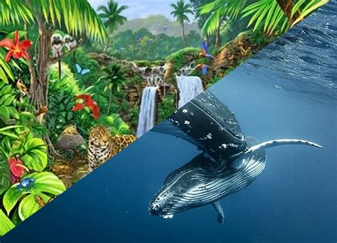 Maturity Of The Container Ecosystem Matts Tech Bytes