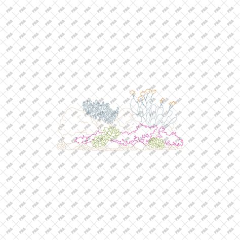 Cad Vector Png Succulent And Cactus Beds In Color And B W