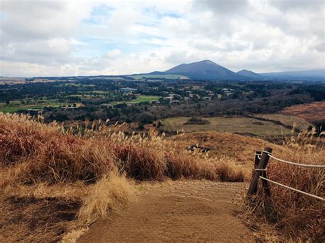 제주 4일차 억새 명소 새별오름 정상까지 30분 소요경사심함 네이버 블로그