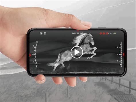 Accessibility Manual Settll