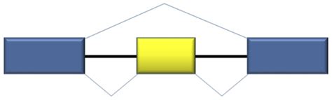 ROSALIND Glossary Exon Skipping