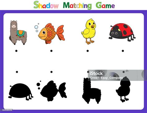 다른 모양의 그림자를 학습하기위한 벡터 그림입니다 어린이를위한 마녀 4 만화 이미지 알파카 물고기 병아리 무당벌레 그림자에 대한 스톡 벡터 아트 및 기타 이미지 Istock