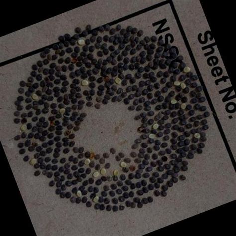 CLASIFY EGGS Object Detection Dataset And Pre Trained Model By Final