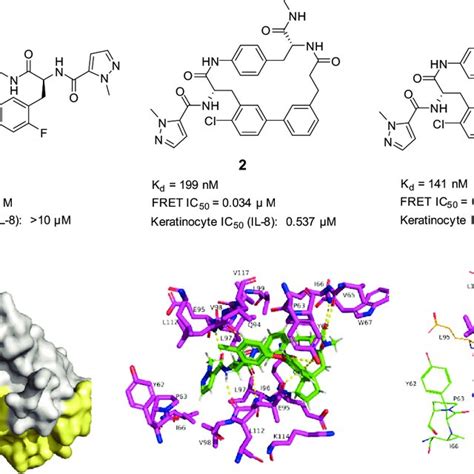 The Examples Of Peptide And Macrocycle And Cocrystal Structure Of