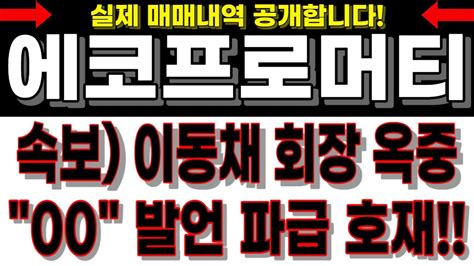 에코프로머티 속보 이동채 회장 발언 파급효과 에코프로머티 에코프로머티리얼즈 에코프로머티주가전망 에코프로머티분석
