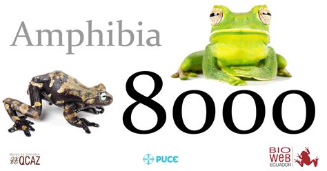 Gamalielcg Cggamaliel Twitter Gamalielcg Cggamaliel Twitter