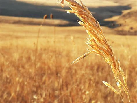 Гэр бүл хөдөлмөр нийгмийн хамгааллын яам Facebook