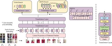Figure 2 From Tsn Greid Transformer Based Siamese Network For Group Re