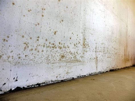 Risks Of Incorrect Cement Rendering