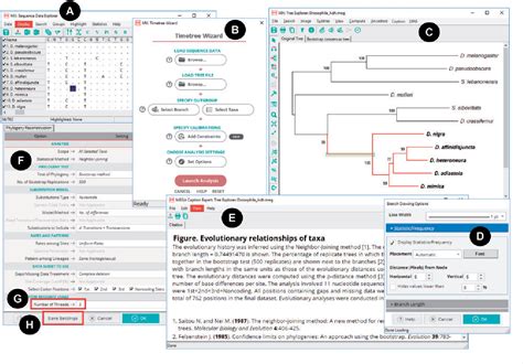 Pdf Mega X Molecular Evolutionary Genetics Analysis Across Computing