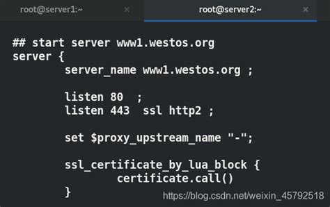 kubernetes集群实战——ingress服务部署、会话保持和tls配置 li barroco的博客 csdn博客 ingress会话保持