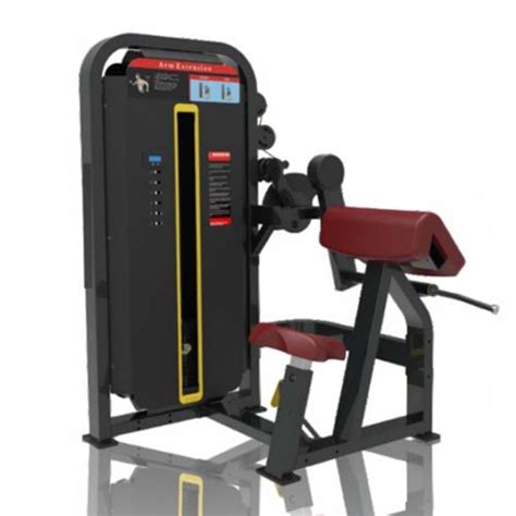 Bicep And Tricep Curl Machine For Gym At 26500 In Jalandhar ID 21378136562