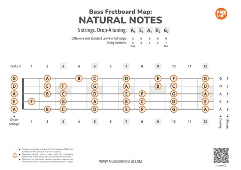 5 String Bass Fretboard Map With Naturals In Drop A Tuning