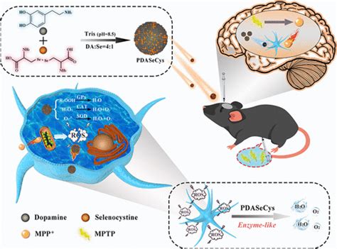 Polydopamine Based Nanocomposite As A Biomimetic Antioxidant With A