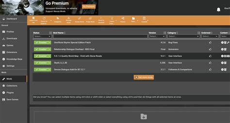 mods not loading in gog ae r skyrimmods