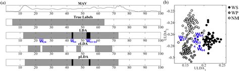 Visualization Of Classifier Output For Continuous Motion Collection Wn