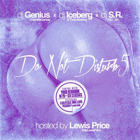Va Dj Genius Dj Iceberg Dj S R Do Not Disturb Free Download Borrow And