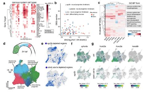 Systematic Detection Of Differentially Expressed Genes Degs And Cell