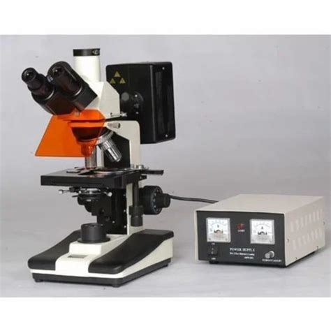 Laboratory Fluorescence Microscope Resolution 5mp Magnification 50x At ₹ 100000 Piece In Ambala