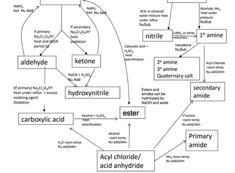 Organic Synthesis