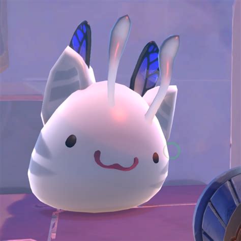 Steam Community Guide ⊹all Slime Largo Combinations ⊹ {ᴜᴘᴅᴀᴛᴇᴅ}