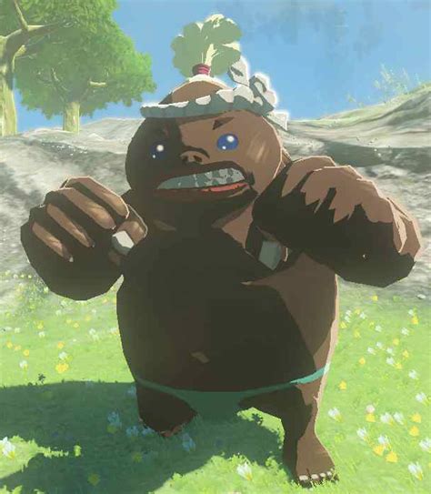 Hercus Zelda Wiki