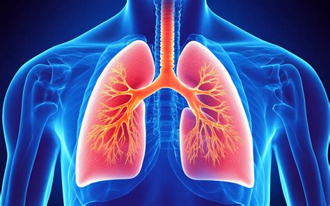 Viral Pneumonia Md Searchlight
