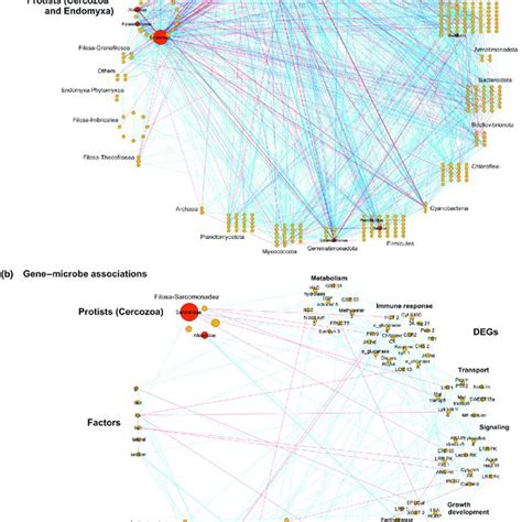 Co-occurrence networks illustrating (a) associations among and between... | Download Scientific ...