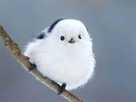 Dr Zohreh Majd Posted On Linkedin