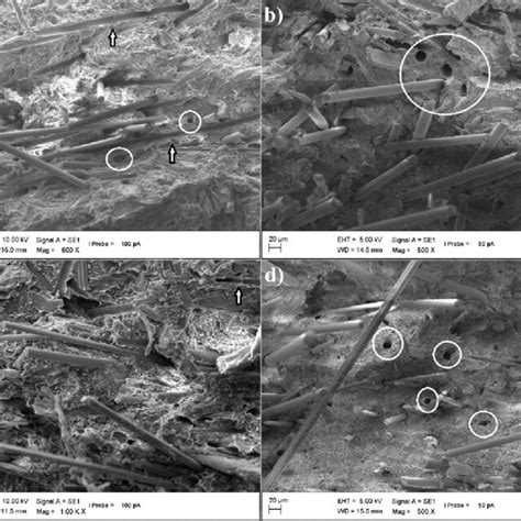 Sem Micrographs Of Reinforced Wpcs A 10 Sgf B 10 Lgf C 10 Cf