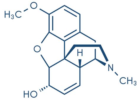 Codein Wirkung Und Anwendung Praktischarzt