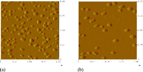 Figure 3 From Growth Of Stacked Inas Inp Quantum Dot Structures Semantic Scholar