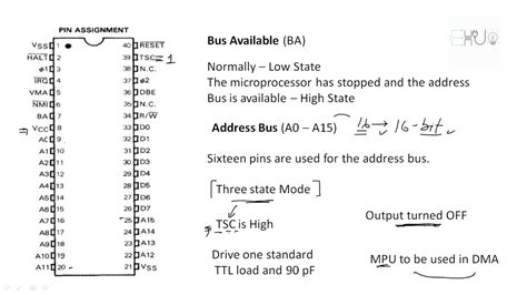 Motorola Microprocessor Mc6800 Important Features Pin Descriptions Youtube