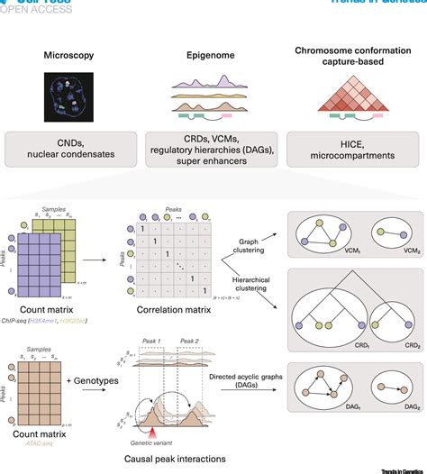 figure 1 from chromatin modules and their implication in genomic