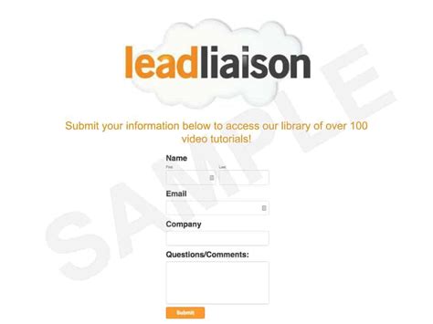 Buzzwords In Marketing Automation Landing Page Lead Liaison