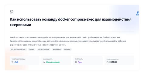 Как использовать команду Docker Compose Exec для работы с сервисами Labex