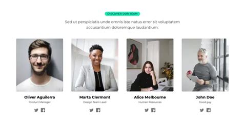 Tailwind Css Team Section Examples