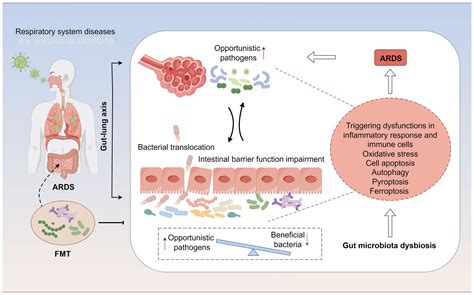Frontiers Gut Microbiota And Its Metabolic Products In Acute