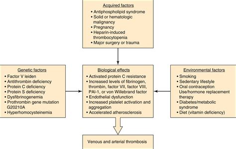 Disorders Of Coagulation Hypercoagulable States Clinical Tree