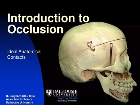 Ppt Introduction To Occlusion Powerpoint Presentation Free Download